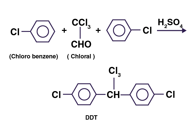 Give preparation and uses of D.D.T. - Chemistry Q&A