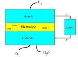 Fuel cell: Definition, how it works and more.