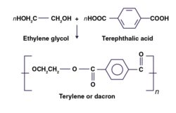 Terylene