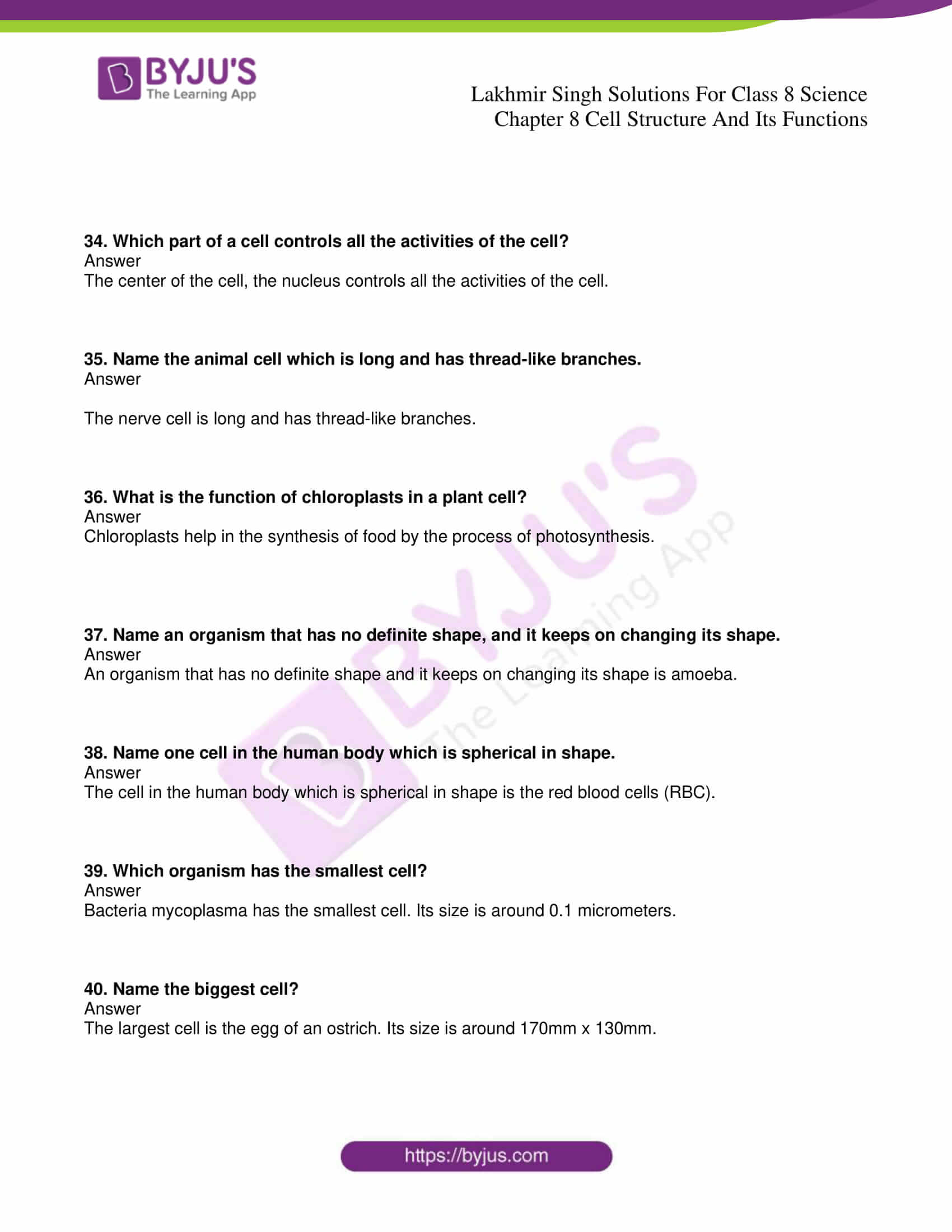 Lakhmir Singh Science Class 8 Solutions For Chapter 8 Cell Structure Lakhmir Singh Science Class 8 Solutions For Chapter 8 Cell Structure