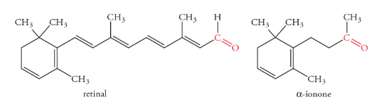 Aldehyde - Definition, General Properties & Uses with Examples & Videos