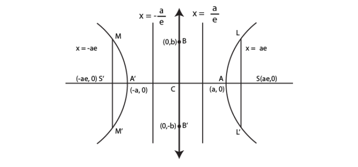 Hyperbola - Standard Equation, Conjugate Hyperbola with Examples
