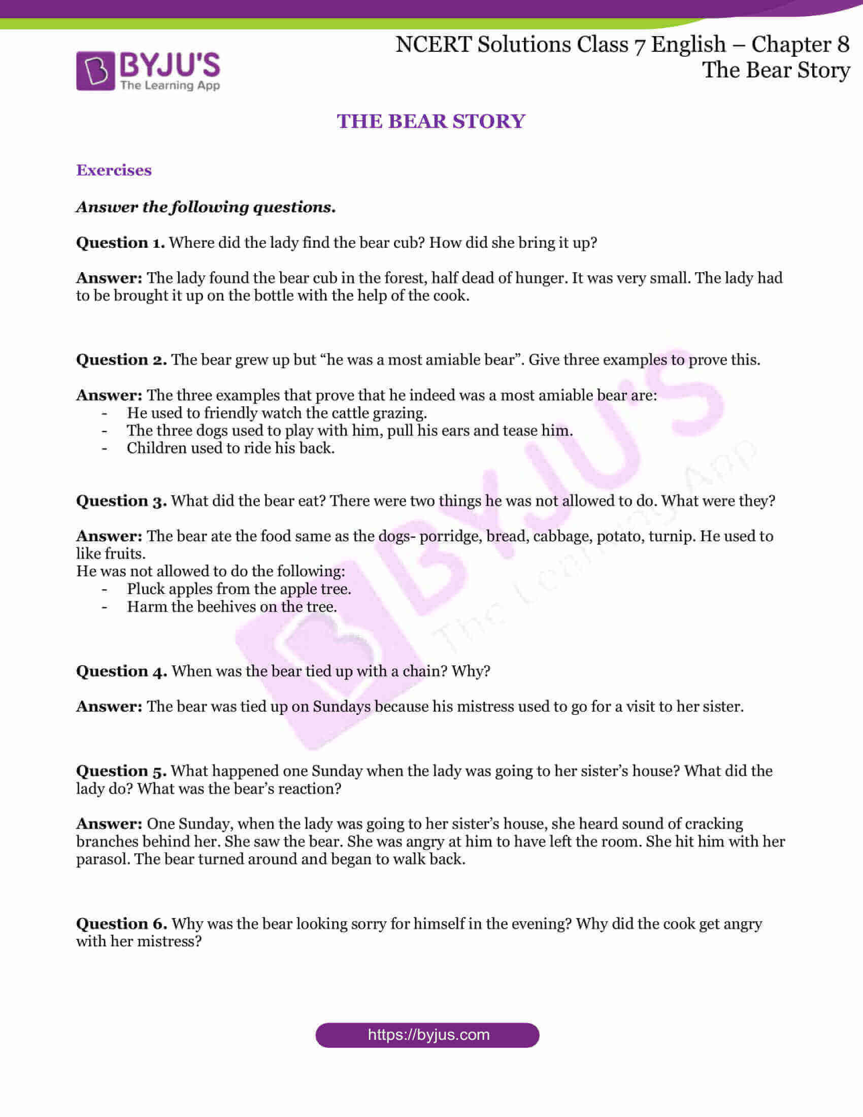 NCERT Solutions For Class 7 English Chapter 8 The Bear Story