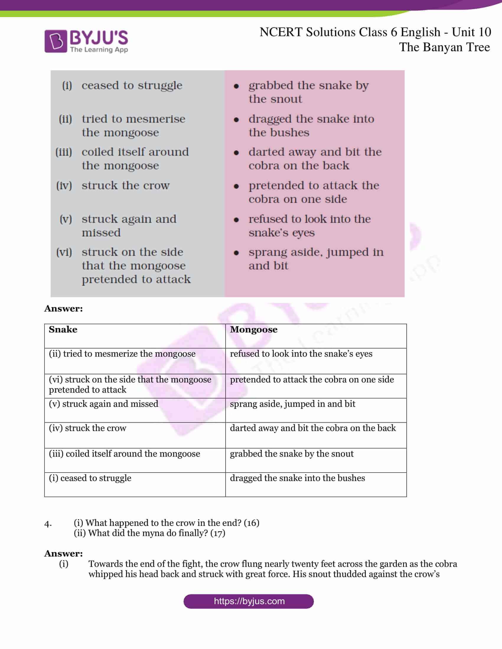 NCERT Solutions For Class 6 English Unit 10 - The Banyan Tree ...