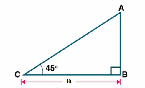 Properties of Triangle | Height and Distance for IIT JEE