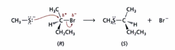 Walden Inversion - Definition, Reaction, Mechanism & Explanation with ...
