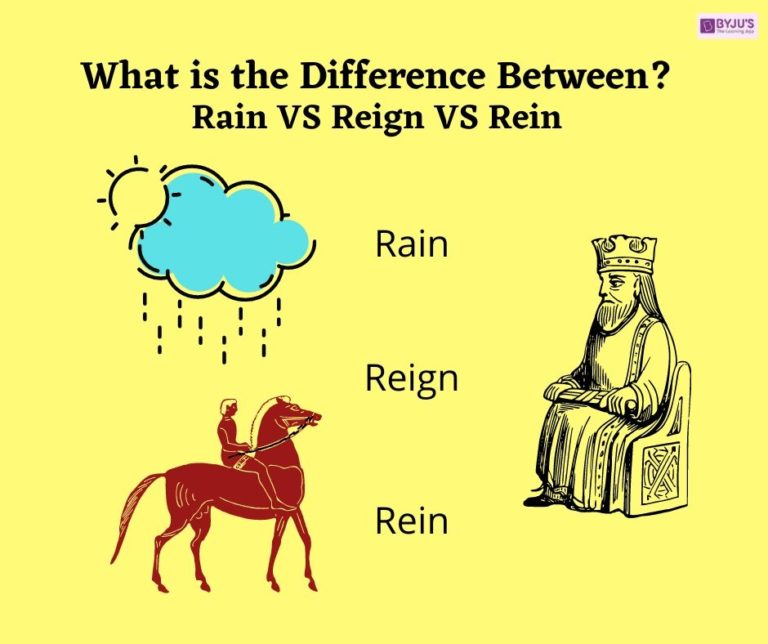 Difference Between Reign, Rein & Rain With Example| Reign Vs Rein Vs Rain