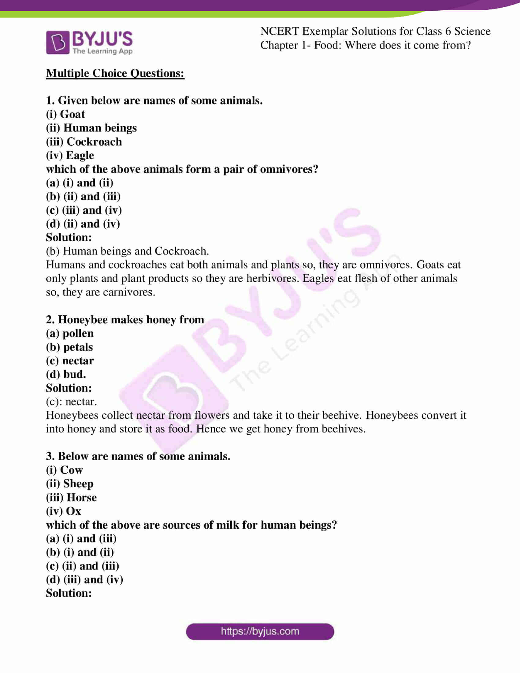 Computer Quiz ions For Class Computer Class Th Chapter My XXX 