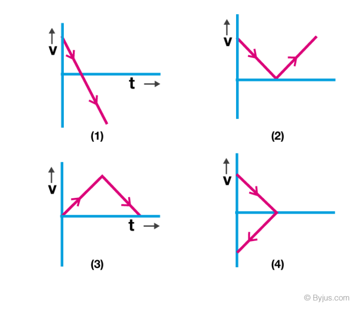 Jee main and neet question of kinematics