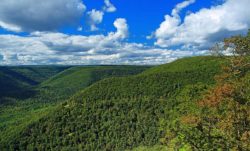 Plateaus - Definition, Types, Formation, Indian Peninsular Plateau ...