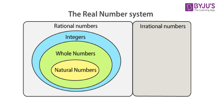Whole Numbers Definition Symbol Properties And Examples 2023 