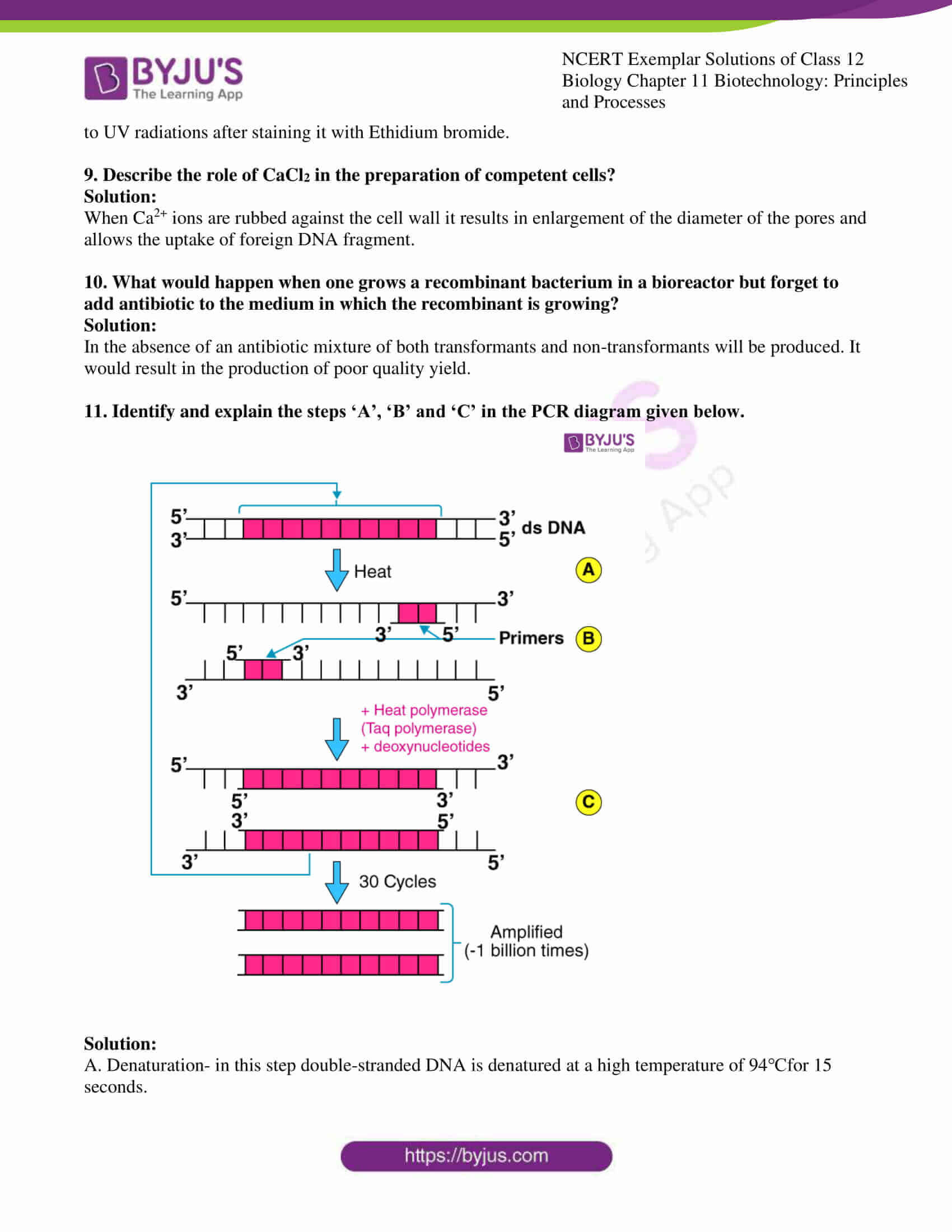 NCERT Exemplar Solutions Class 12 Biology Chapter 11 - Biotechnology ...