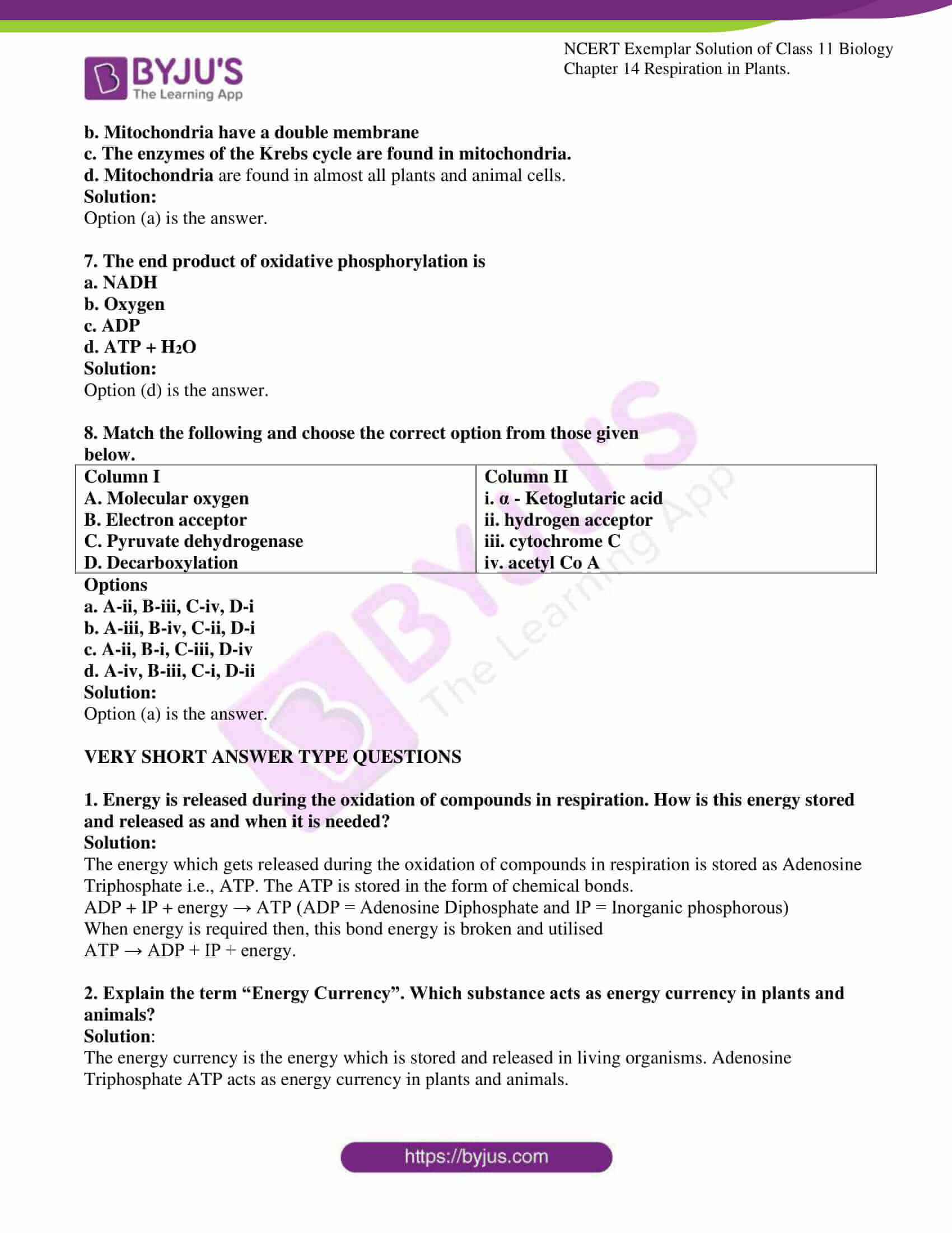 NCERT Exemplar Solution For Class 11 Biology Chapter 14 Download The NCERT Exemplar Solution For Class 11 Biology Chapter 14 Download The