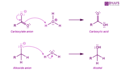 Cannizzaro Reaction - Mechanism, Examples with Illustrations