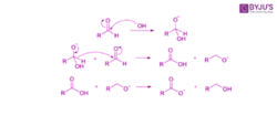 Cannizzaro Reaction - Mechanism, Examples with Illustrations