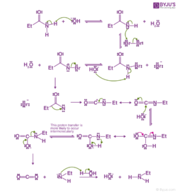 Hoffmann Bromamide Reaction Mechanism - Explanation of Hoffmann ...