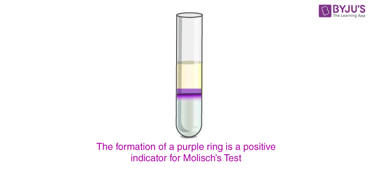 Molisch’s Test - Principle, Procedure, Reaction, & Reagent Preparation
