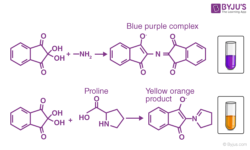 Ninhydrin Test - Reaction, Principle, Procedure, Result Interpretation