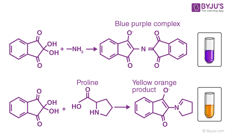 Ninhydrin Test Reaction Principle Procedure Result Interpretation ninhydrin-test-reaction-principle-procedure-result-interpretation