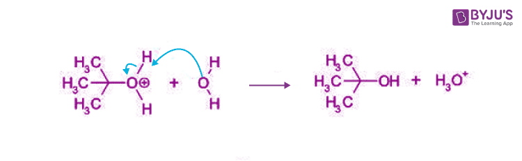 SN1 Reaction Mechanism - Detailed Explanation with Examples