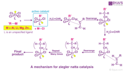 Ziegler-Natta Catalyst Preparation and Polymerization Reaction