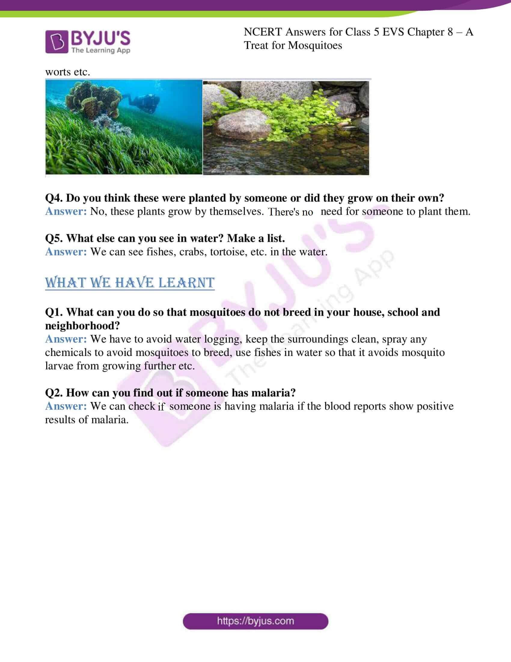 NCERT Solutions Class 5 EVS Chapter 8 a Treat for Mosquitoes Free PDF ...