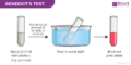 Benedict’s Test - Reagent Preparation, Principle, Procedure, Reaction