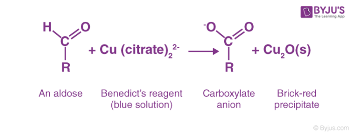 Benedict’s Test - Reagent Preparation, Principle, Procedure, Reaction