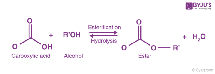 PDF Télécharger esterification of carboxylic acid and alcohol mechanism Gratuit PDF | PDFprof.com