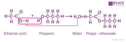 Esterification (Alcohol & Carboxylic acid) - Reactions Mechanism & Uses ...