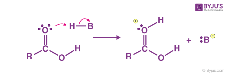 Fischer Esterification Mechanism - Detailed Explanation with Examples