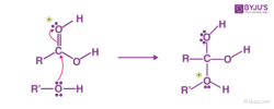 Fischer Esterification Mechanism - Detailed Explanation with Examples