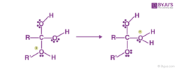 Fischer Esterification Mechanism - Detailed Explanation with Examples