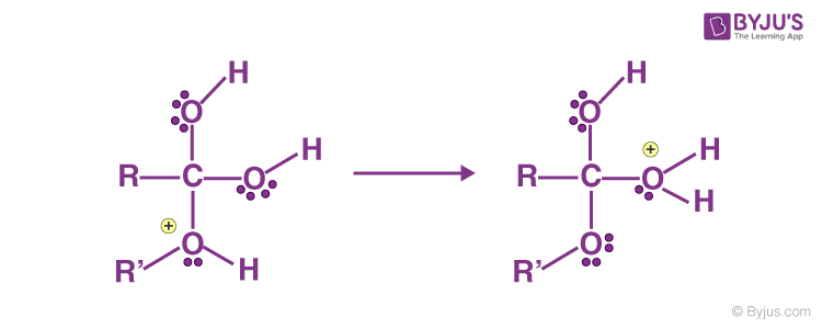 Fischer Esterification Mechanism - Detailed Explanation with Examples