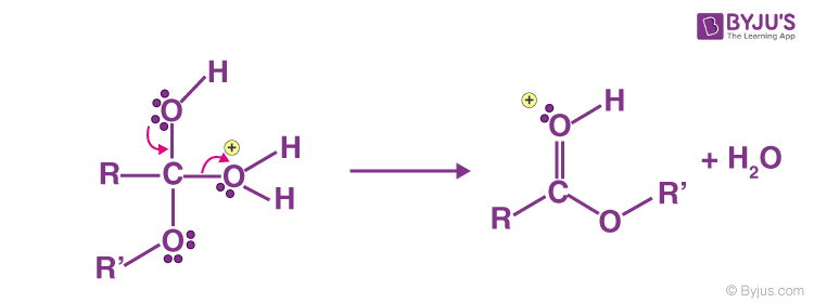 Fischer Esterification Mechanism - Detailed Explanation with Examples