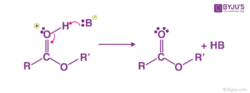 Fischer Esterification Mechanism - Detailed Explanation with Examples