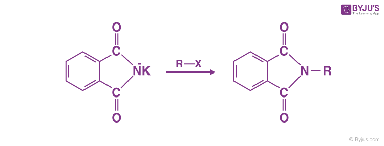 Gabriel Phthalimide Synthesis Mechanism - Explanation and Examples