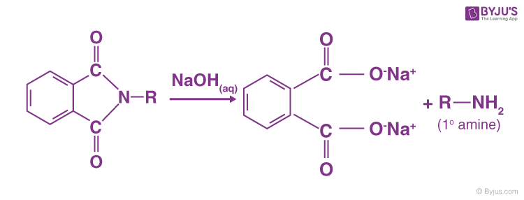 Gabriel Phthalimide Synthesis Mechanism - Explanation and Examples