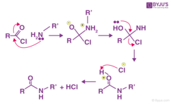 Schotten Baumann Reaction - Detailed Explanation With Mechanism