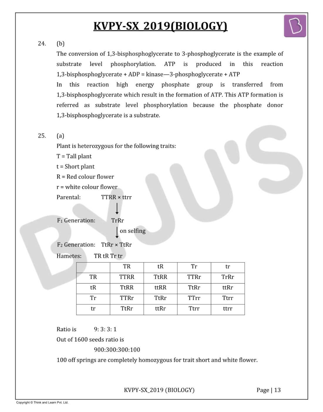Download KVPY-SX 2019 Biology Paper with Solutions