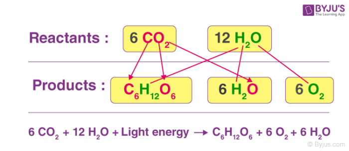 Redox Reactions - Examples, Types, Applications, Balancing