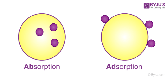 Adsorption Meaning