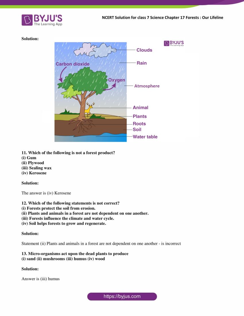 NCERT Solutions Class 7 Science Chapter 17 Forests Our Lifeline - Get ...