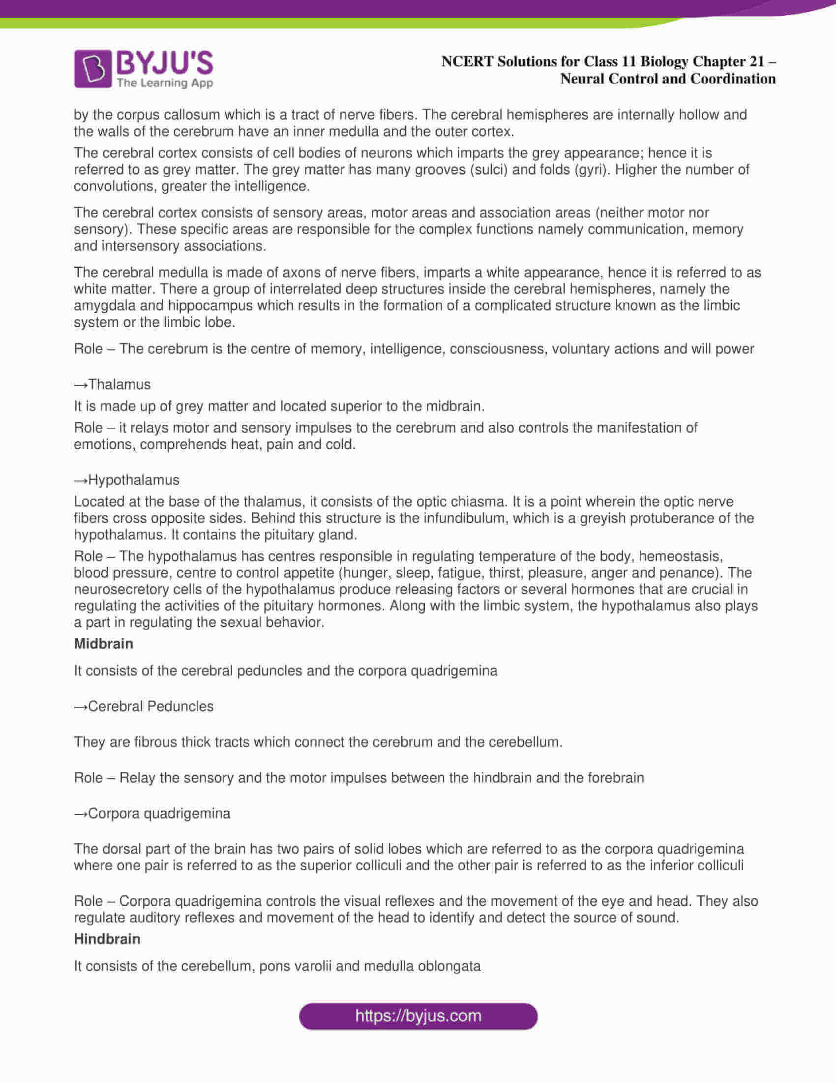 NCERT Solutions Class 11 Biology Chapter 21 Neural Control and Coordination