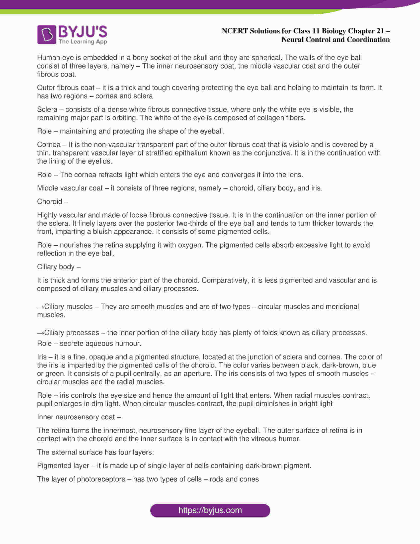 NCERT Solutions Class 11 Biology Chapter 21 Neural Control and Coordination