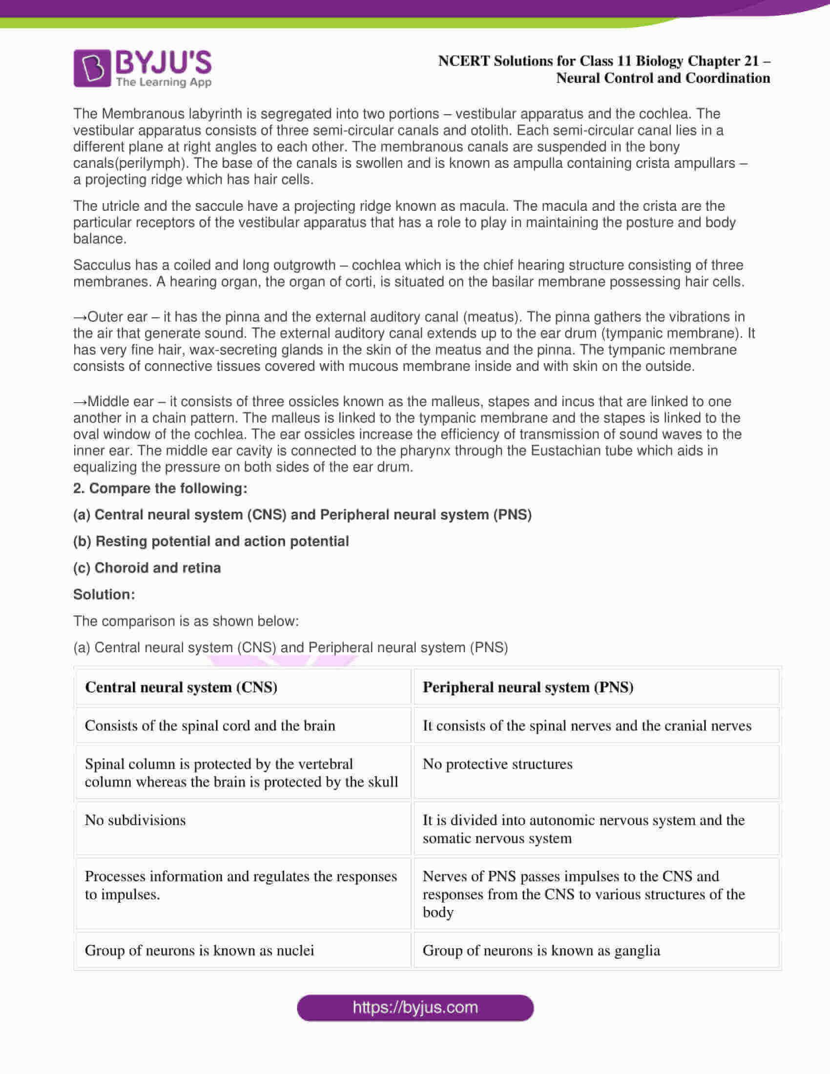 NCERT Solutions Class 11 Biology Chapter 21 Neural Control and Coordination