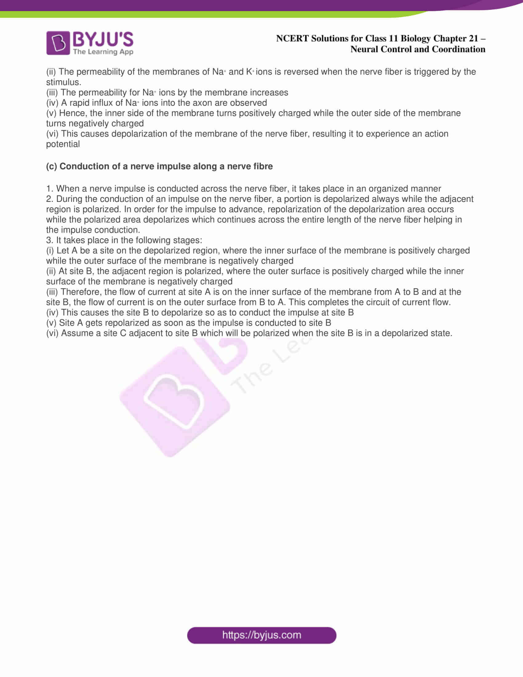 NCERT Solutions Class 11 Biology Chapter 21 Neural Control and Coordination