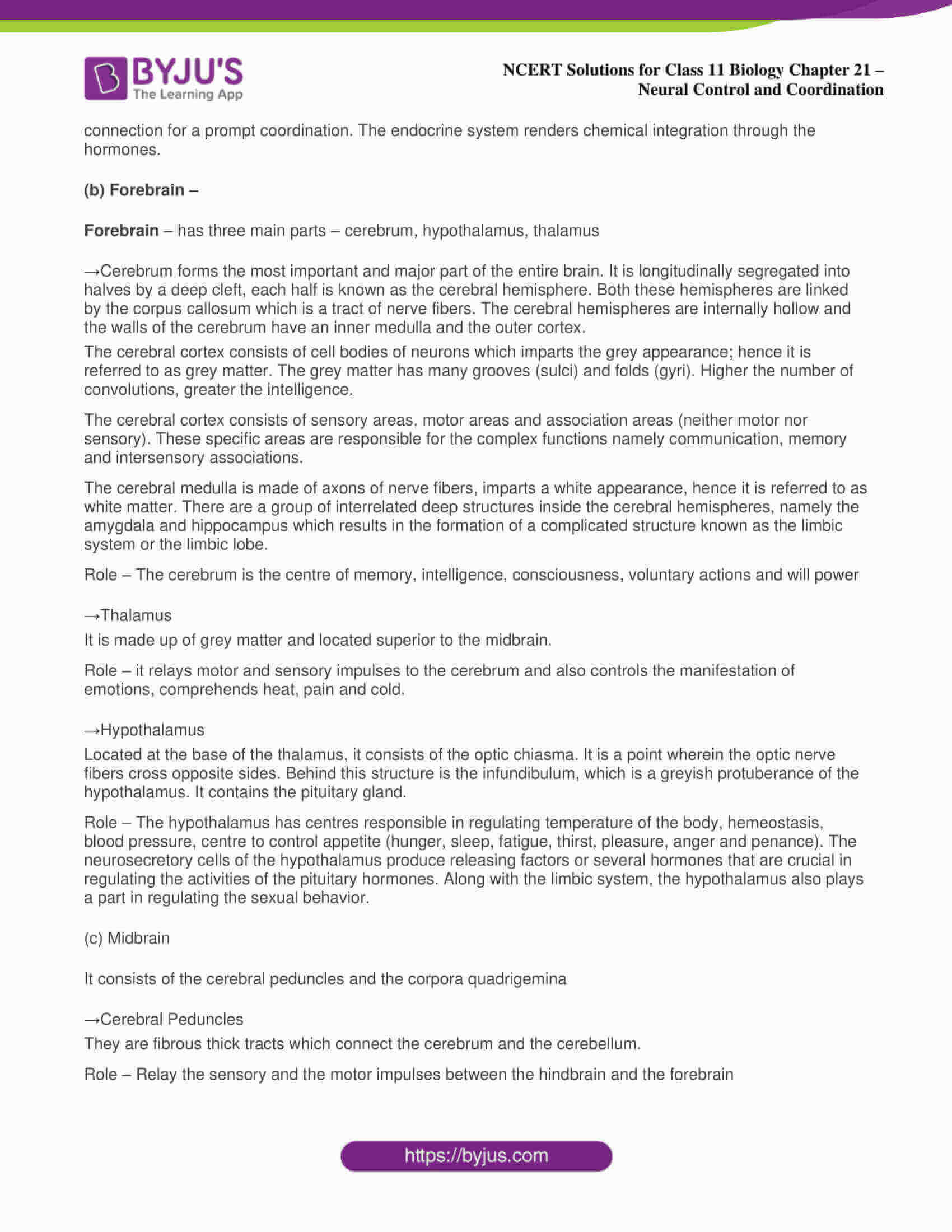 NCERT Solutions Class 11 Biology Chapter 21 Neural Control and Coordination