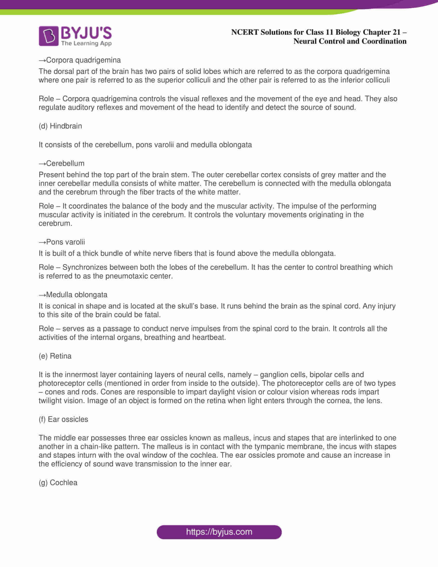 NCERT Solutions Class 11 Biology Chapter 21 Neural Control and Coordination