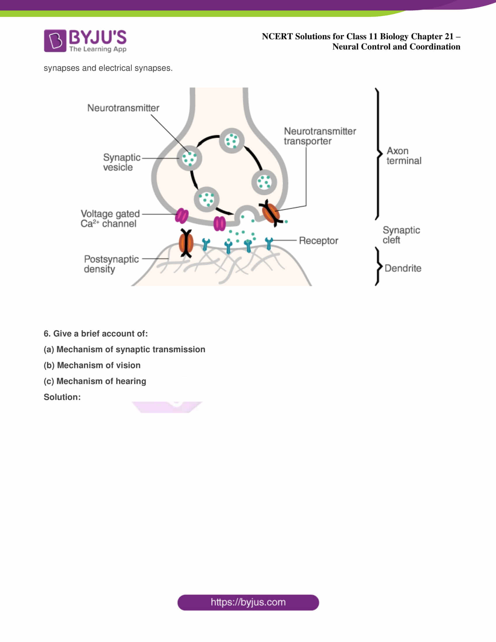 NCERT Solutions Class 11 Biology Chapter 21 Neural Control and Coordination